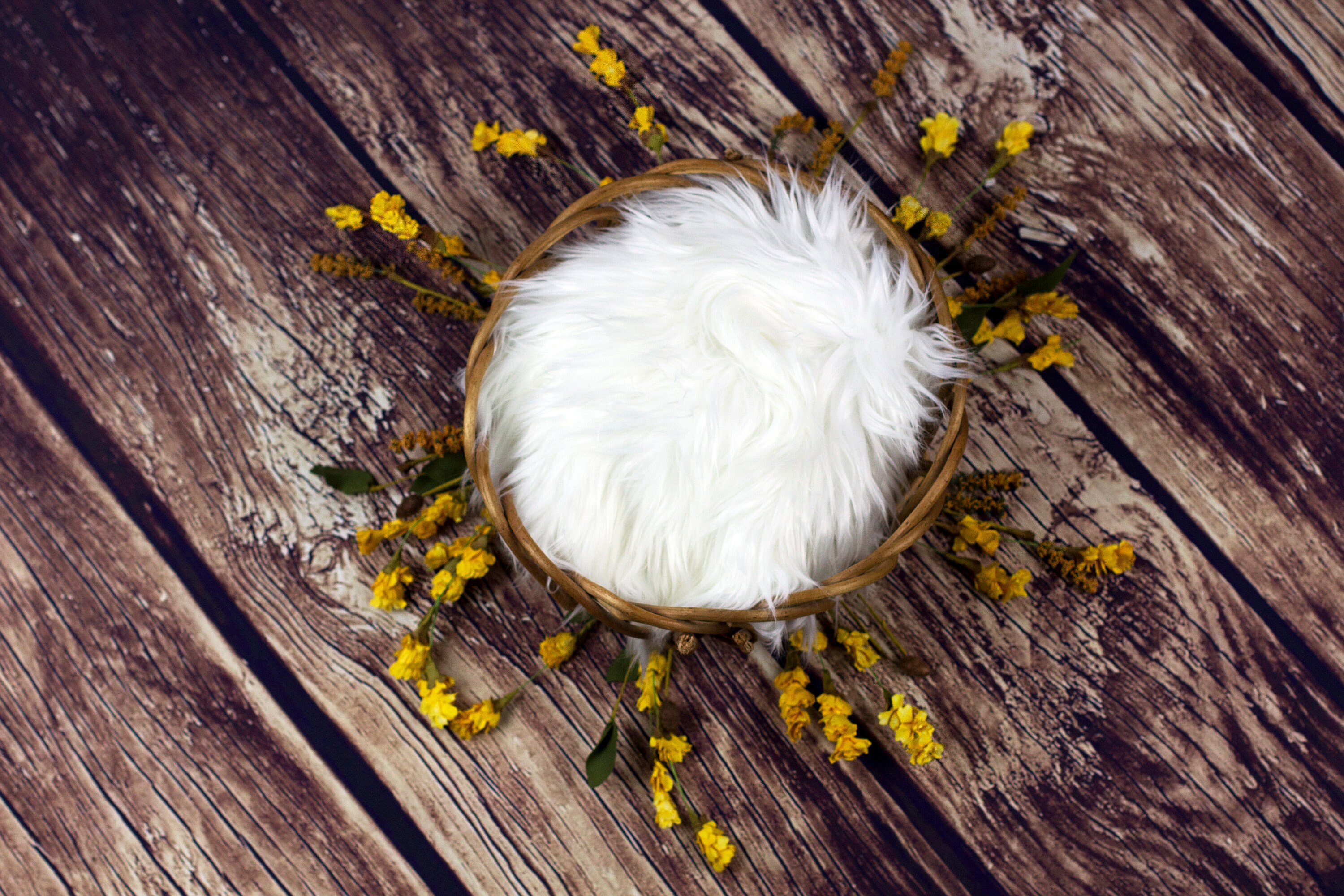 Newborn Digital Props 20, Fall Props, Blanket Props, Basket Photography ...