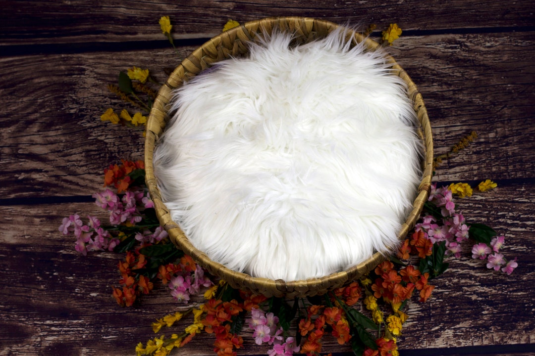 Newborn Digital Props BR, Fur Props, Fur Blanket Props, Basket ...
