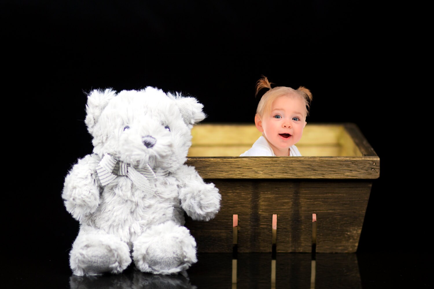 Teddy Bear Prop, Basket Prop, Studio Portrait Photography Digital ...