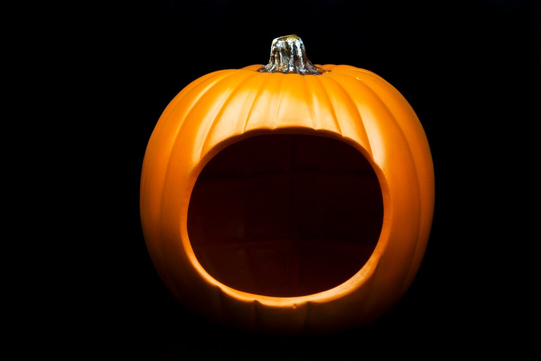 Halloween Pumpkin, Pumpkin, Pumpkin Prop, Halloween Prop, Studio ...