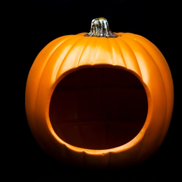 Pumpkin Photo Prop - Etsy