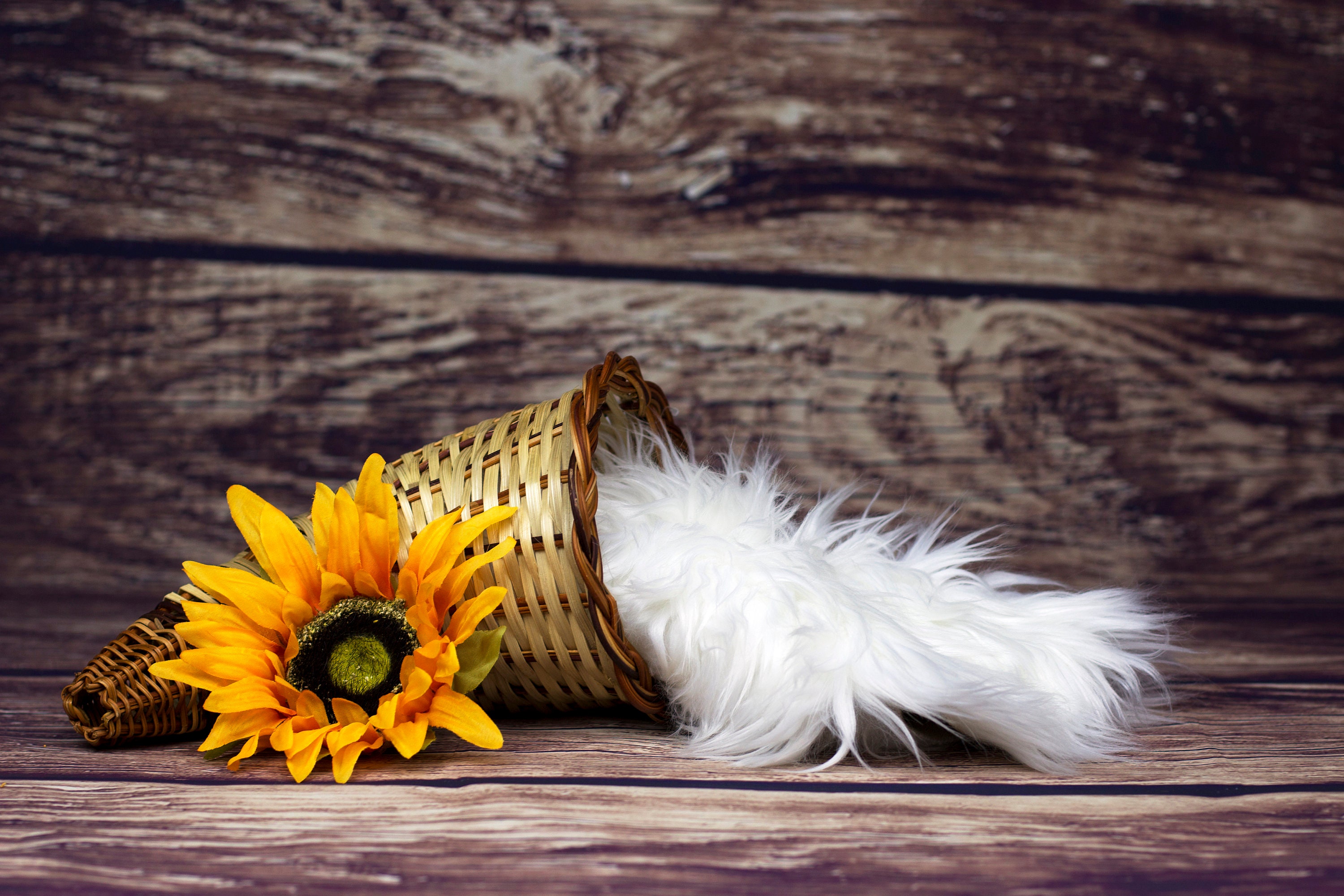 Newborn Digital Props 26, Fall Props, Blanket Props, Basket Photography ...