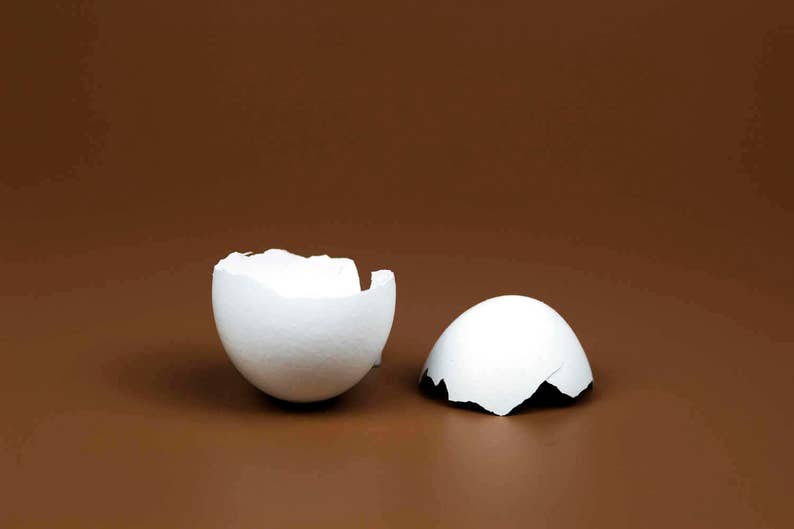 Egg Prop, EASTER SALE Egg Baby, Egg Shells, Toddler, Child, Studio ...