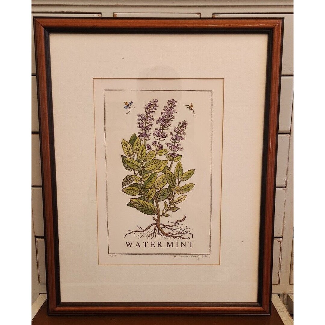 Maureen Reddy O'brien Water Mint Herb Flower Signed and Numbered Floral ...
