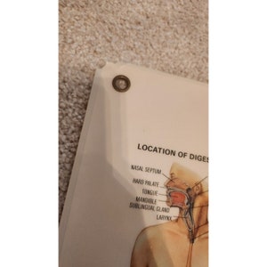 8 Vintage Medical Chart Laminate Posters 80s Anatomical Chart Co Anatomy - Etsy