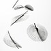Skeleton Leaf Mobile, Polished Stainless Steel, Kinetic Wire Art - Etsy