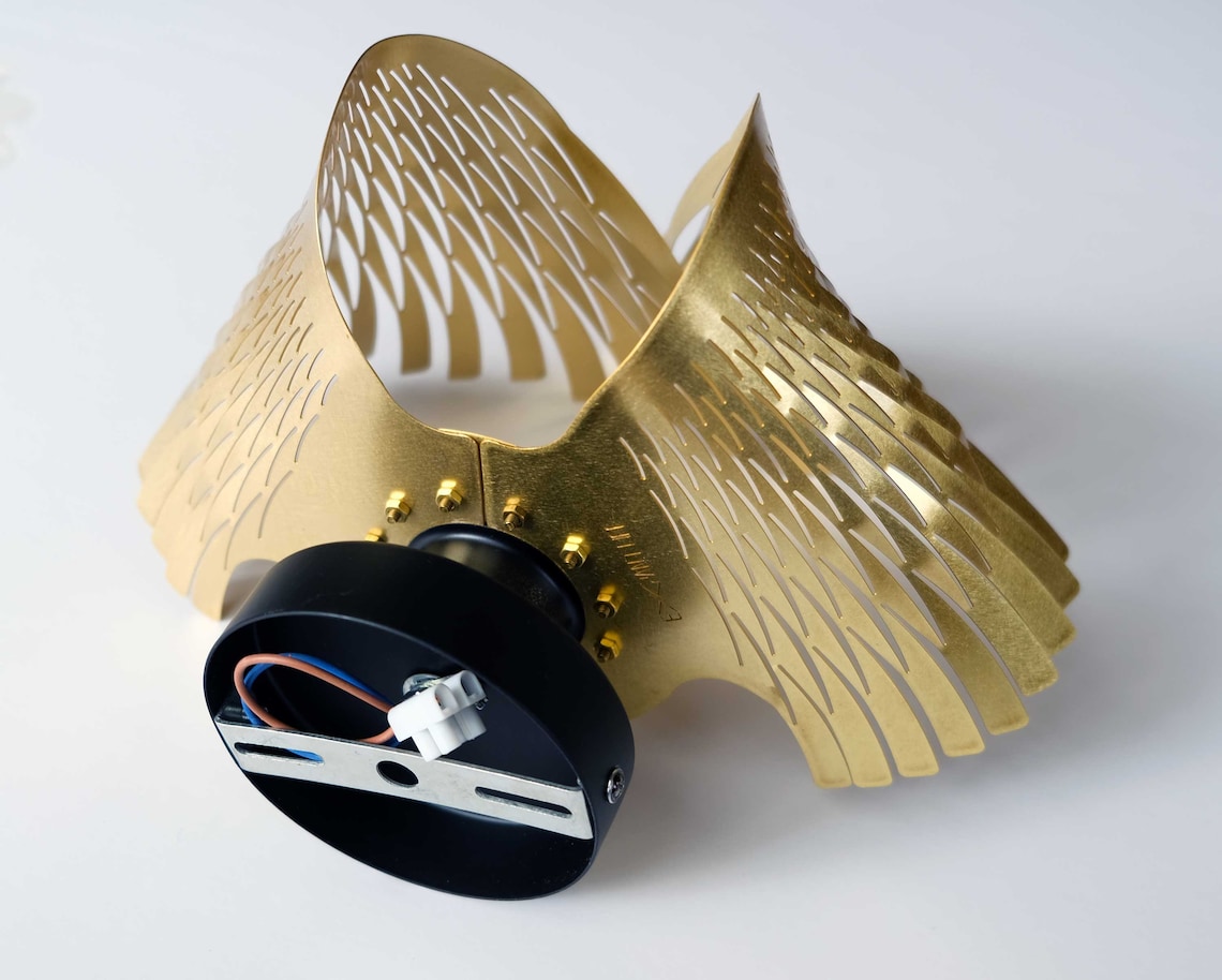 Brass wing wall sconce Bird shadow light Golden light | Etsy