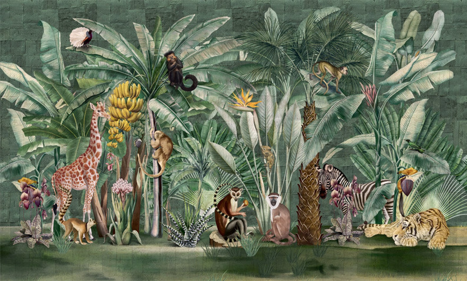 Safari - Customized Unique Wallpaper, Removable, Washable and Reusable ...