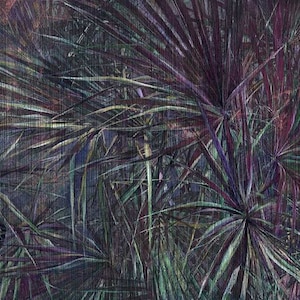 Amazonia - Customized Unique Wallpaper, Removable, Washable and ...