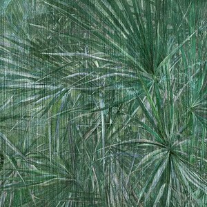 Amazonia - Customized Unique Wallpaper, Removable, Washable and ...