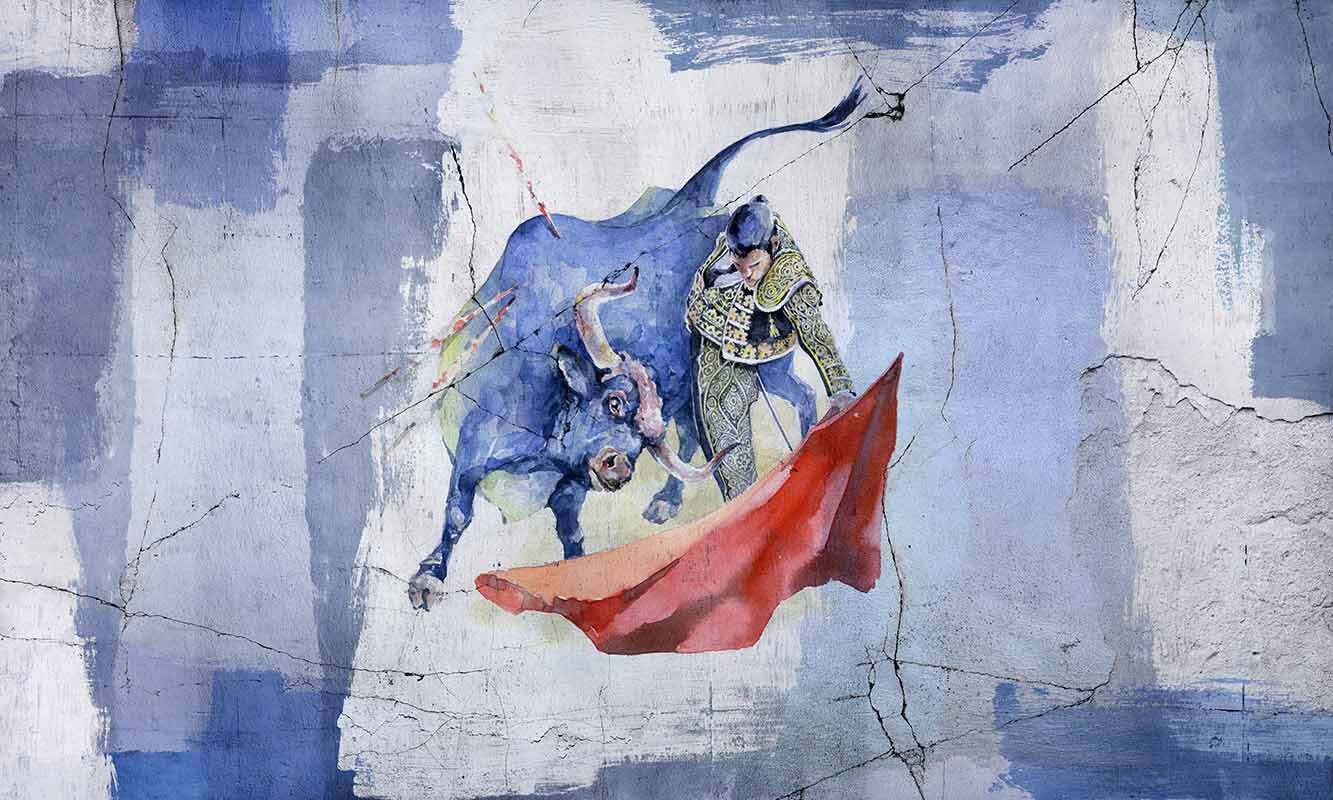 Torero Customized Unique Wallpaper Removable Washable and | Etsy