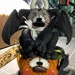 Gargoyle Gargoyle Primitive Halloween Pumpkin Pumpkin Decor Prim Doll ...