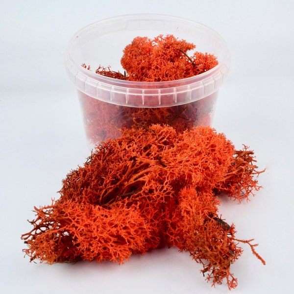 Model Railway Moss - Etsy