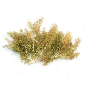 Seafoam Trees Box Mixed Size - Model Scenery Perfect for Miniature War ...