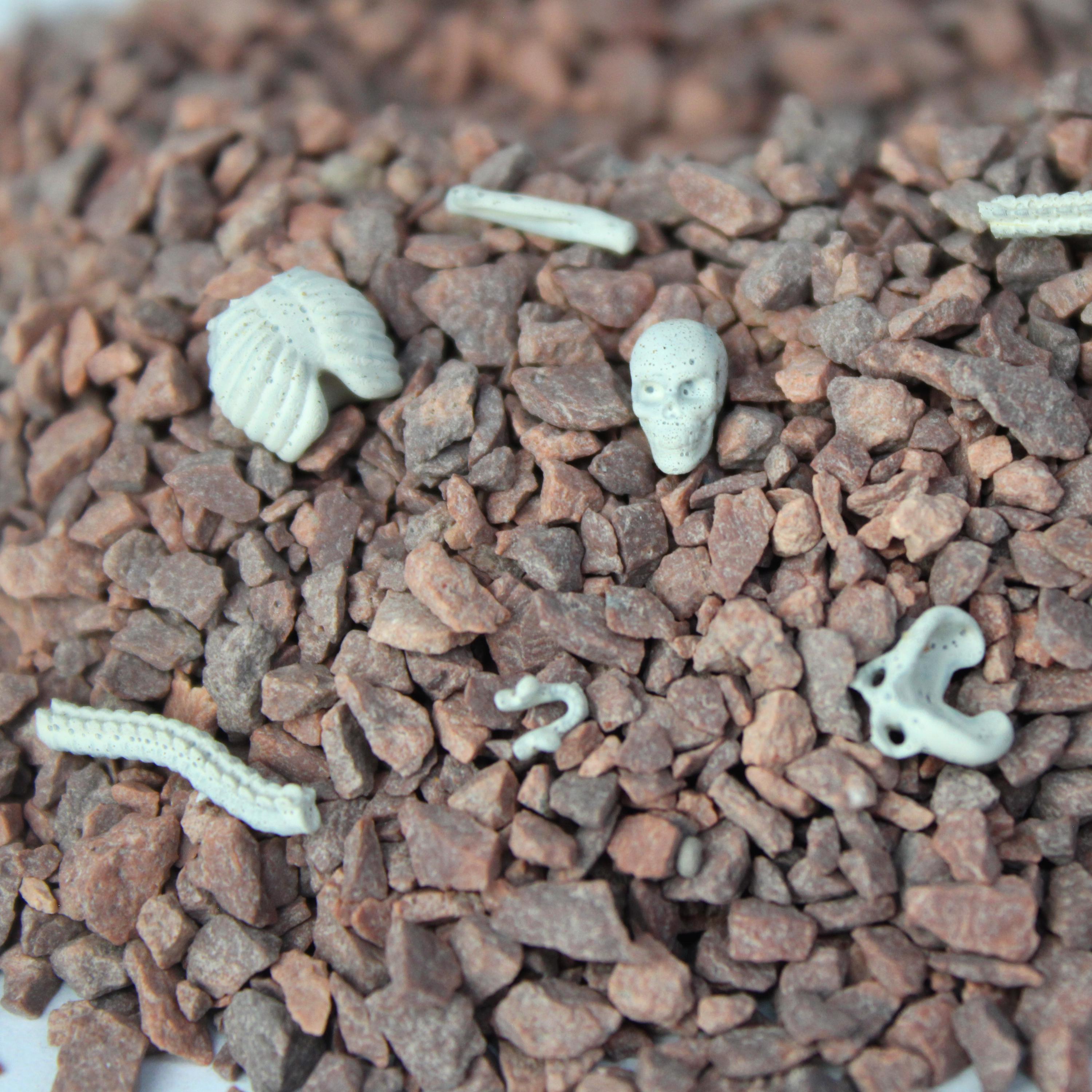Wargaming Skull and Bone Basing Kit for 28mm Miniatures Terrain Diorama ...