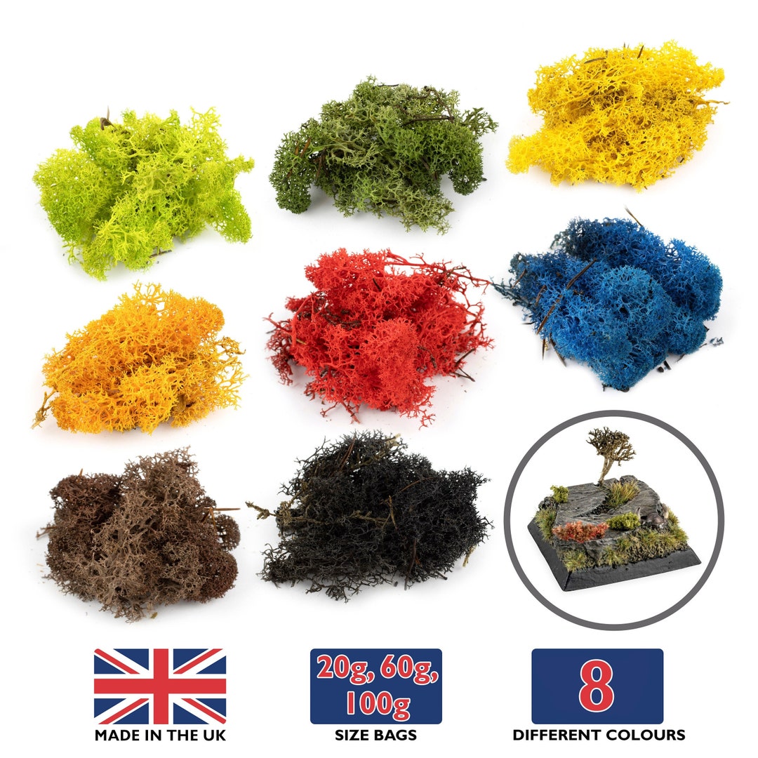 Lichen Moss Model Foliage – Natural Scenery Landscape Modelling Trees ...