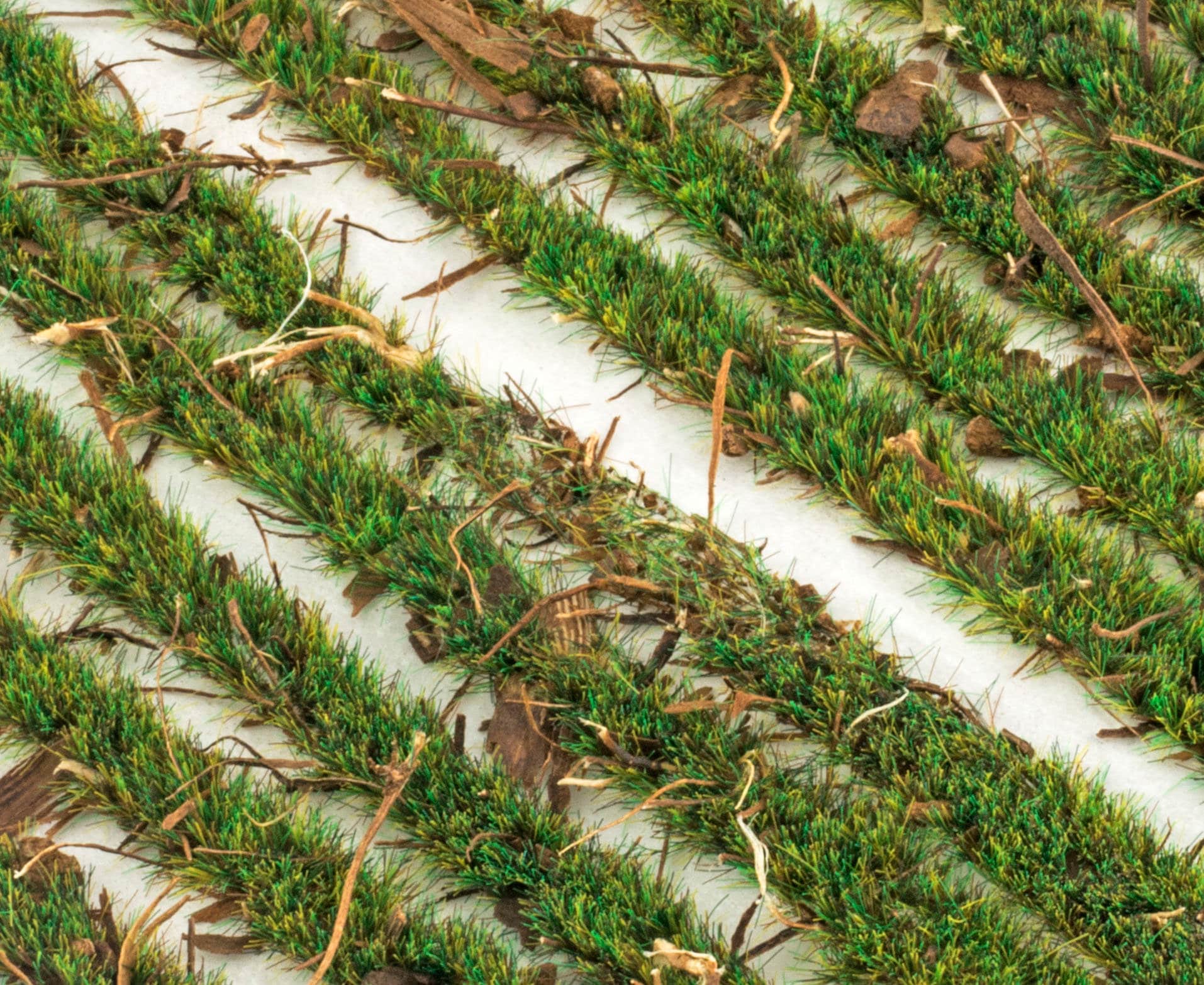 4mm Forest Ground Cover Grass Strips X 10 by WWS Model | Etsy