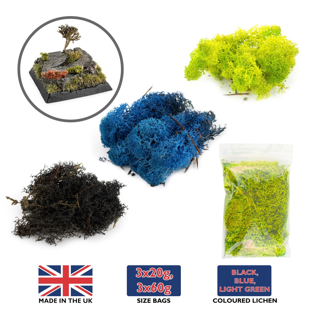 Lichen Moss Model Foliage - Pack of 3 - Black, Blue, Light Green ...