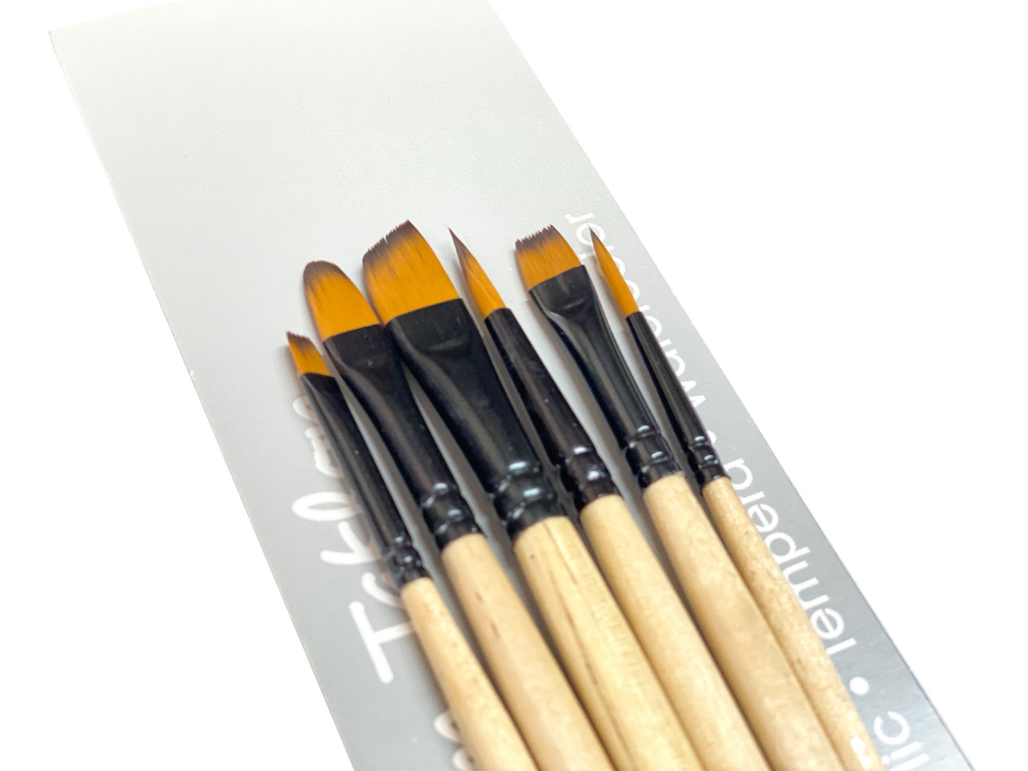 Pennelli fine art a 6 pezzi Set Artist Paint Brushes Set 6 Set golden ...