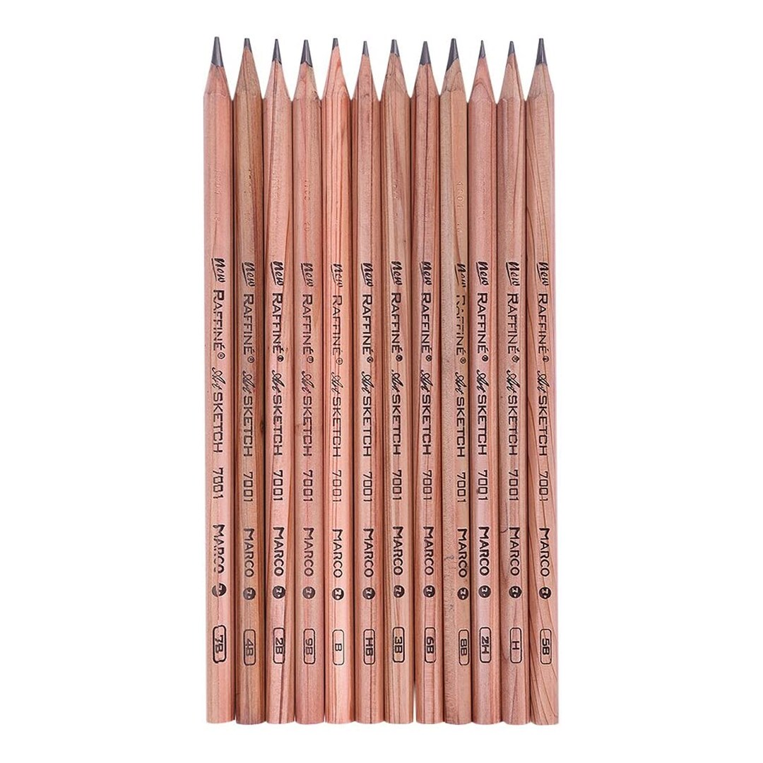 Artist Sketch Drawing Pencils Set 9B to 3H for Artists Beginner ...