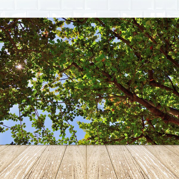 Tree Canopy - Etsy