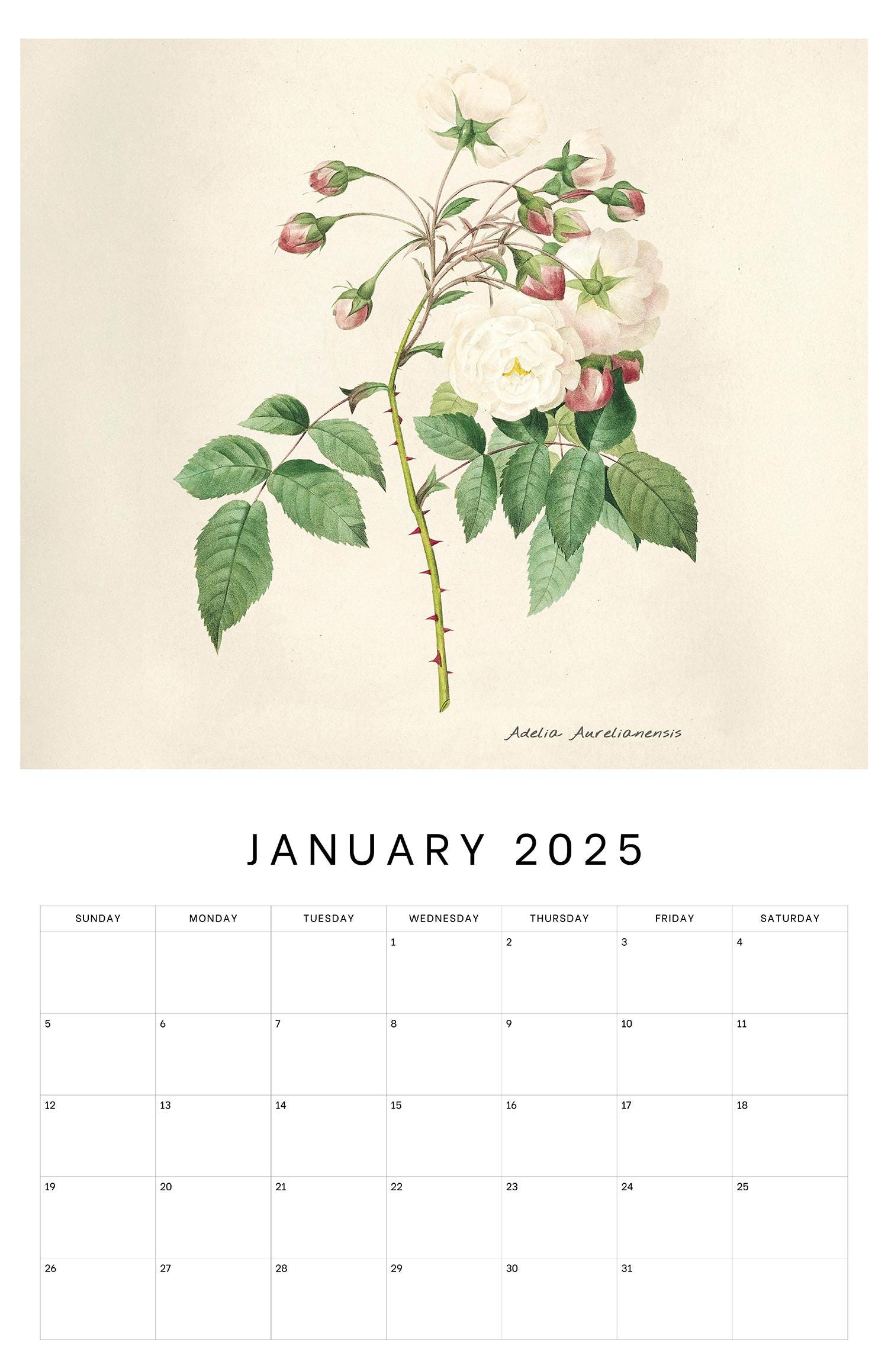 2025 Vintage Florals Calendar - Etsy