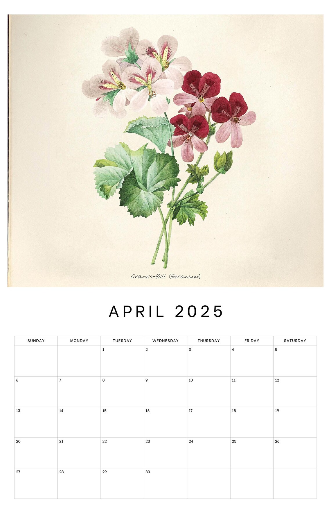 2025 Vintage Florals Calendar - Etsy