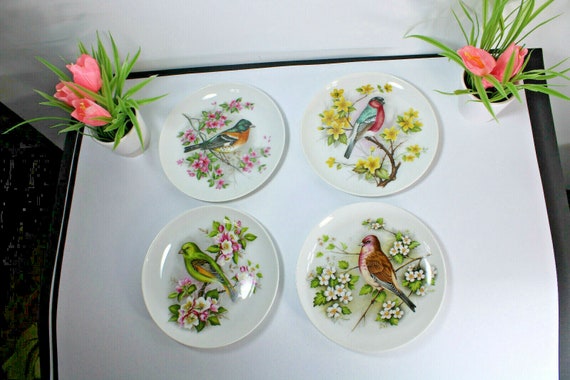 Set 4 Kaiser West Germany Porcelain Birds Plates Hand Paint - Etsy
