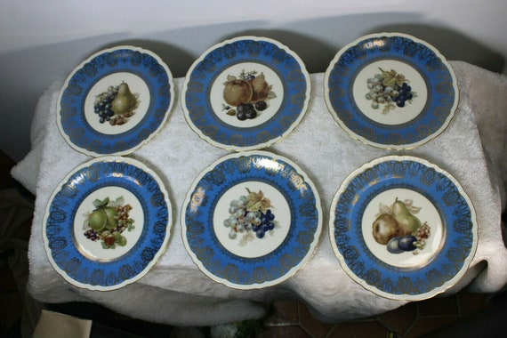 Set 6 Czech Royal Epiag Marked Paint Fruit Decor Porcelain | Etsy