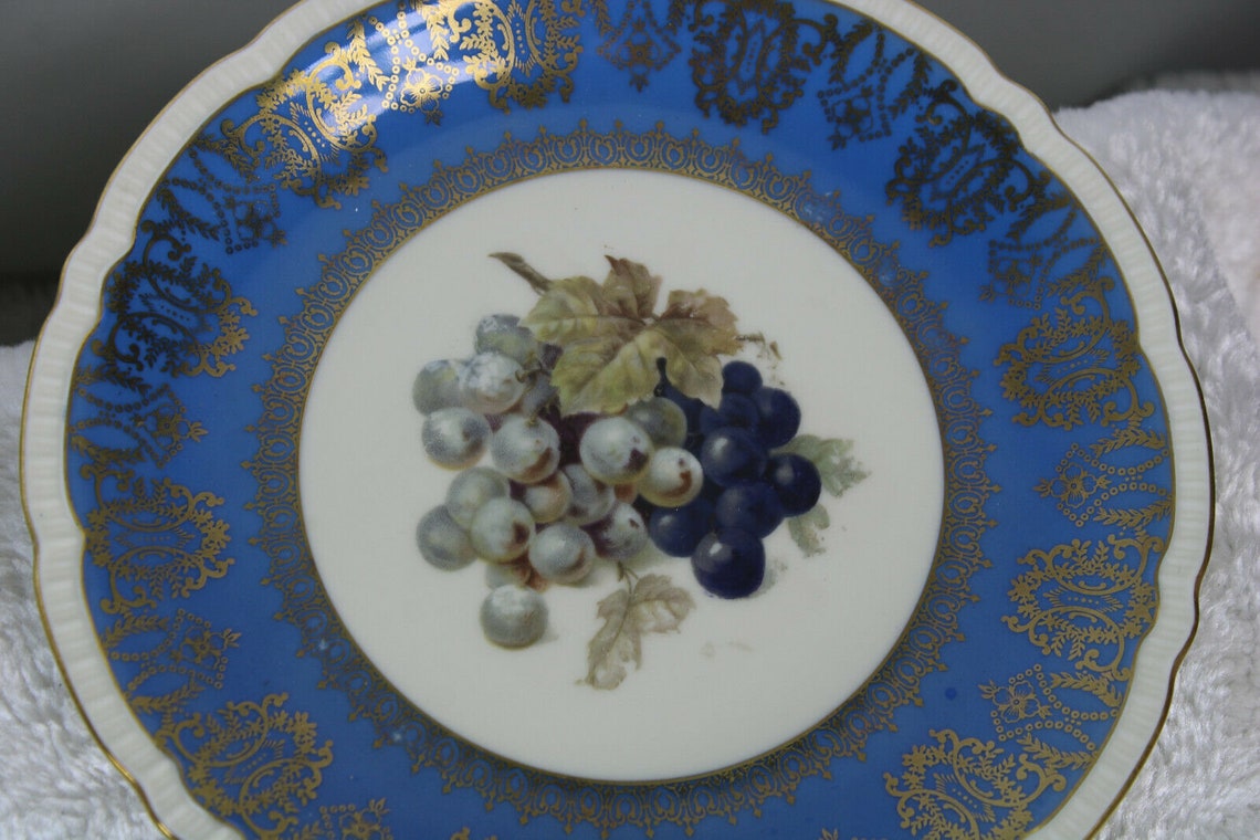 Set 6 Czech Royal Epiag Marked Paint Fruit Decor Porcelain | Etsy