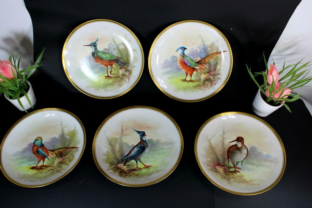 Antique Set 5 Limoges Marked Hand Paint Bird Decor Plates - Etsy