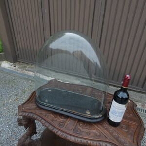 Antique Large French 19thc Glass Oval Dome Globe Taxidermy Saint Clock - Etsy