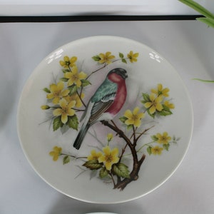 Set 4 Kaiser West Germany Porcelain Birds Plates Hand Paint Signed - Etsy