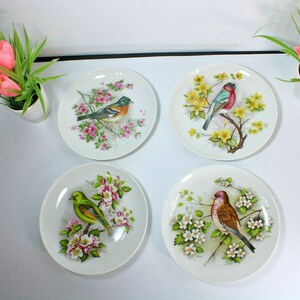 Set 4 Kaiser West Germany Porcelain Birds Plates Hand Paint Signed - Etsy