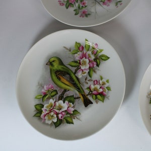 Set 4 Kaiser West Germany Porcelain Birds Plates Hand Paint Signed - Etsy