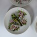 Set 4 Kaiser West Germany Porcelain Birds Plates Hand Paint Signed - Etsy