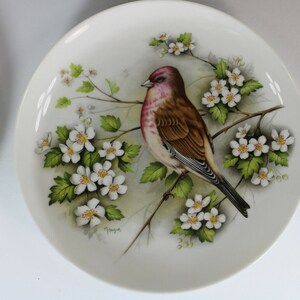 Set 4 Kaiser West Germany Porcelain Birds Plates Hand Paint Signed - Etsy
