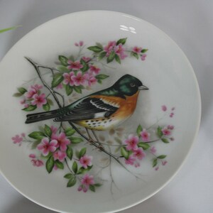 Set 4 Kaiser West Germany Porcelain Birds Plates Hand Paint Signed - Etsy
