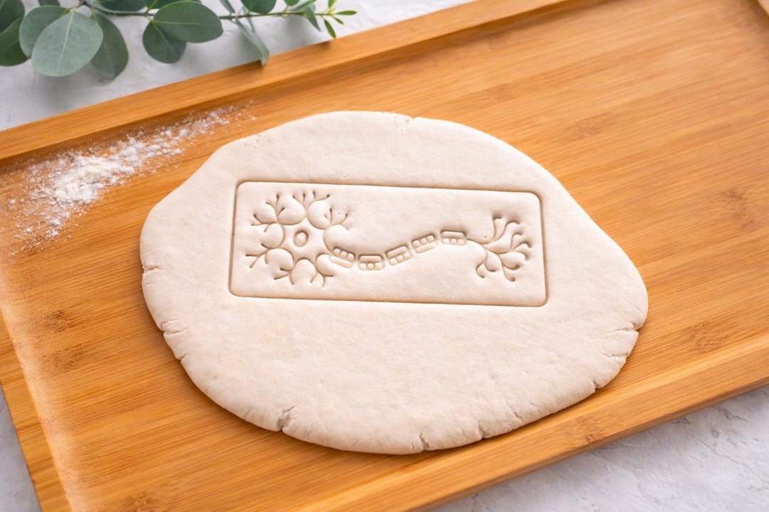 Human Neuron Cookie Cutter Neuroscience Anatomy Fondant Biscuit ...