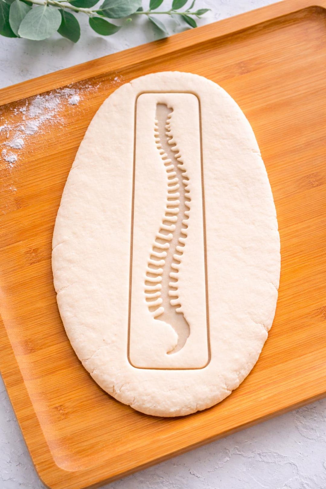 Human Spine Cookie Cutter Anatomy Medical Fondant Biscuit Gingerbread ...