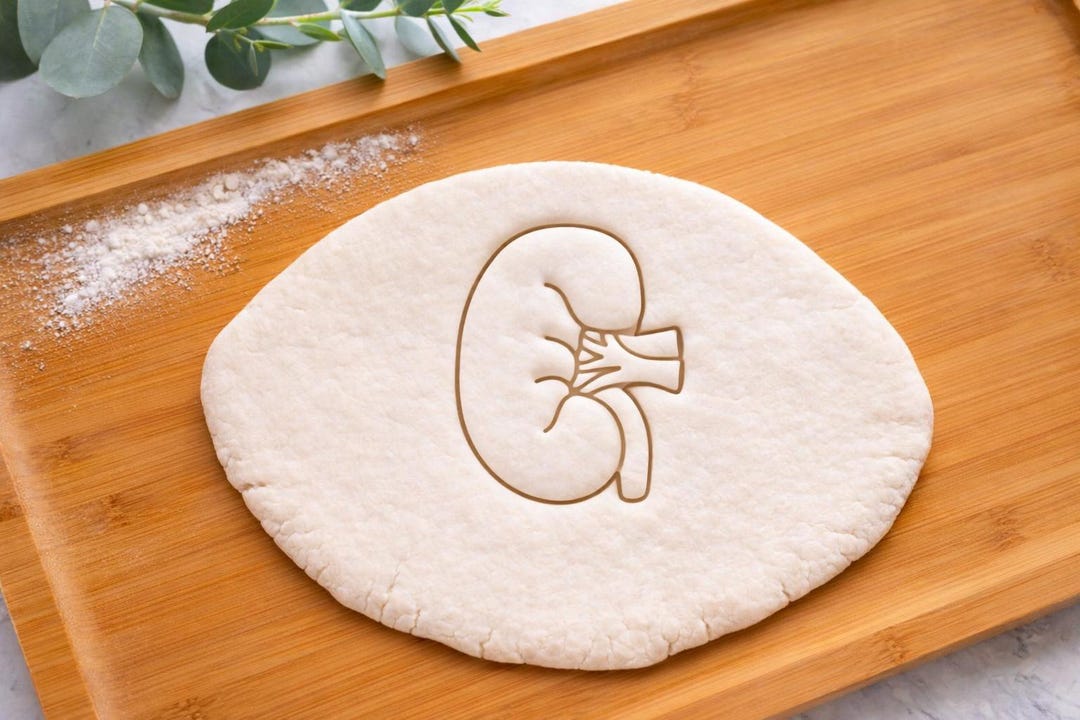 Human Kidney Cookie Cutter Anatomy Medical Fondant Biscuit Gingerbread ...