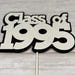 Class of 1995 Cake or Centerpiece Topper Pick for 30 Year Class ...