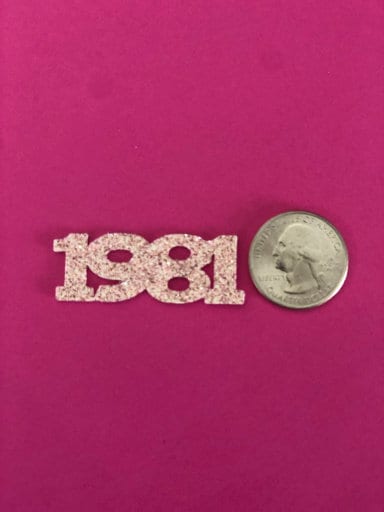 1981 Confetti for 40th Birthday Class Reunion or Anniversary | Etsy