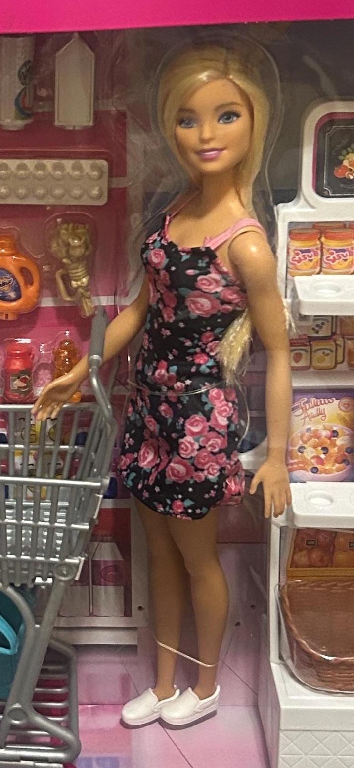 Barbie Supermarket Doll Set - Etsy
