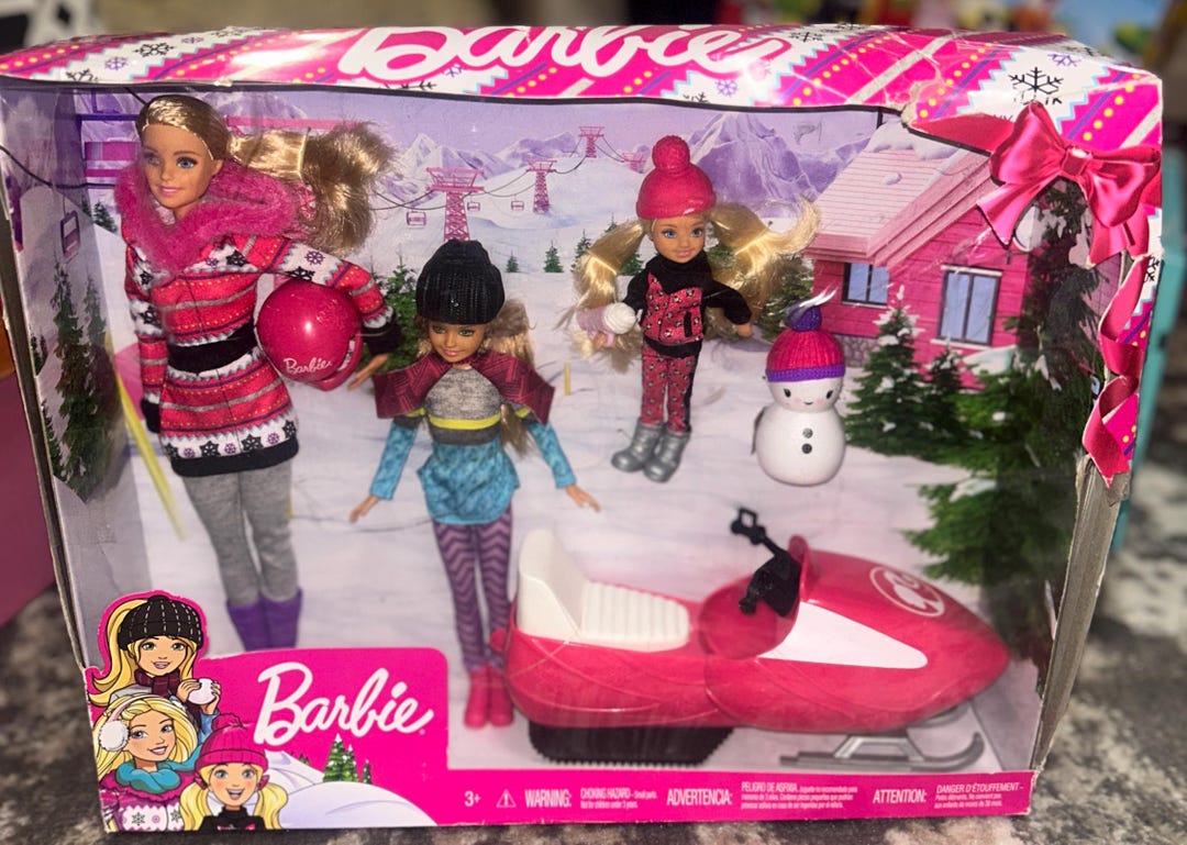 Barbie and Sisters Wintertime Fun Doll Set - Snowmobile and Snowman - Etsy