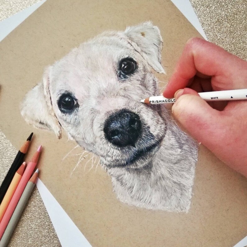 Realistic hand drawn colour pencil pet portrait from photo | Etsy