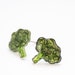 Broccoli Stud Earrings, Cute Vegetable Earrings, Kawaii, Food Jewelry ...