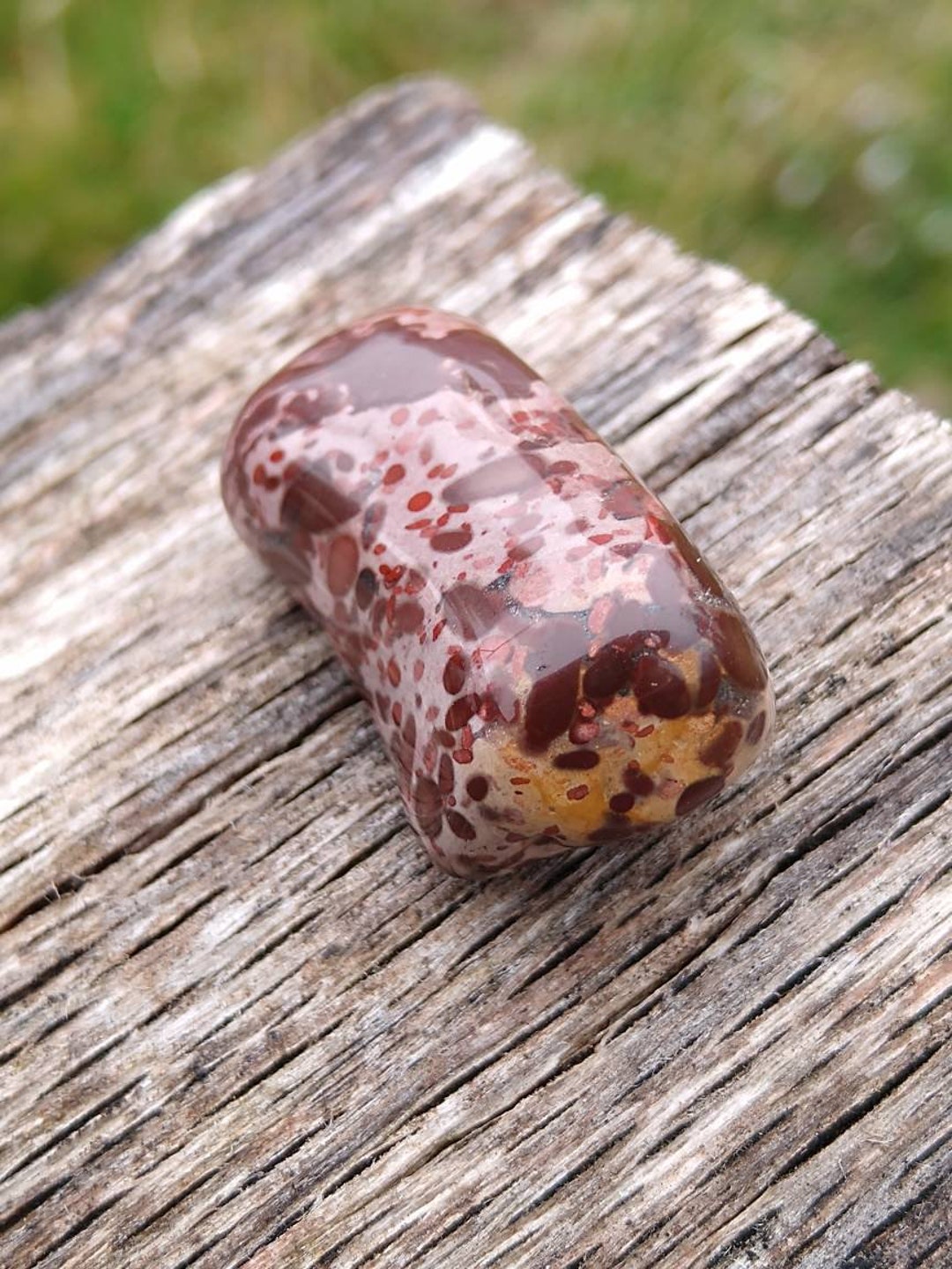 Unique Home Tumbled Leopard Skin Jasper Zebra Pseudomorph Crystal - Etsy