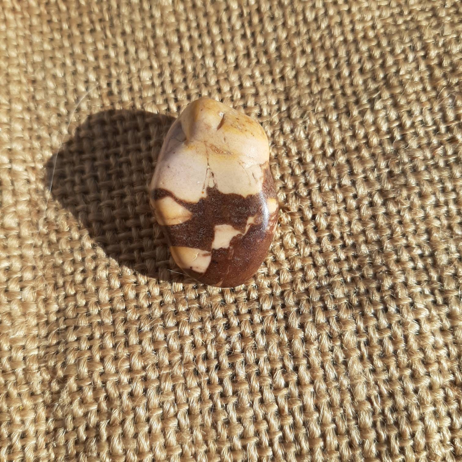 Home Tumbled Zebra Jasper Stone Collectible Crystal Large - Etsy UK