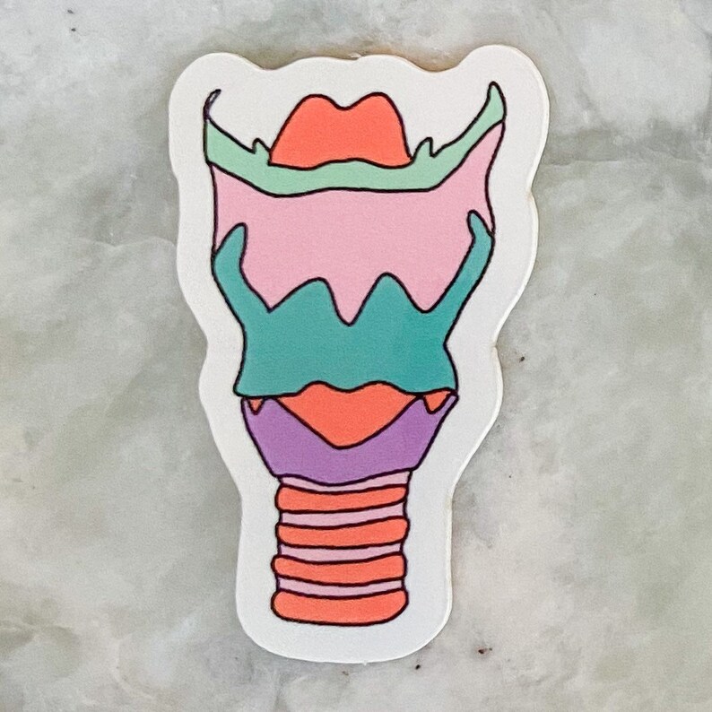 Colorful Larynx Sticker SLP Singer Voice Teacher - Etsy